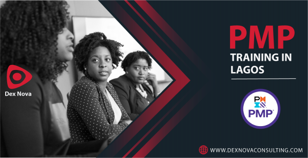 Insights - DexNova Consulting Limited